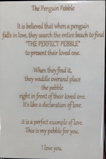 The Penguin Pebble for Your True Love - Etsy