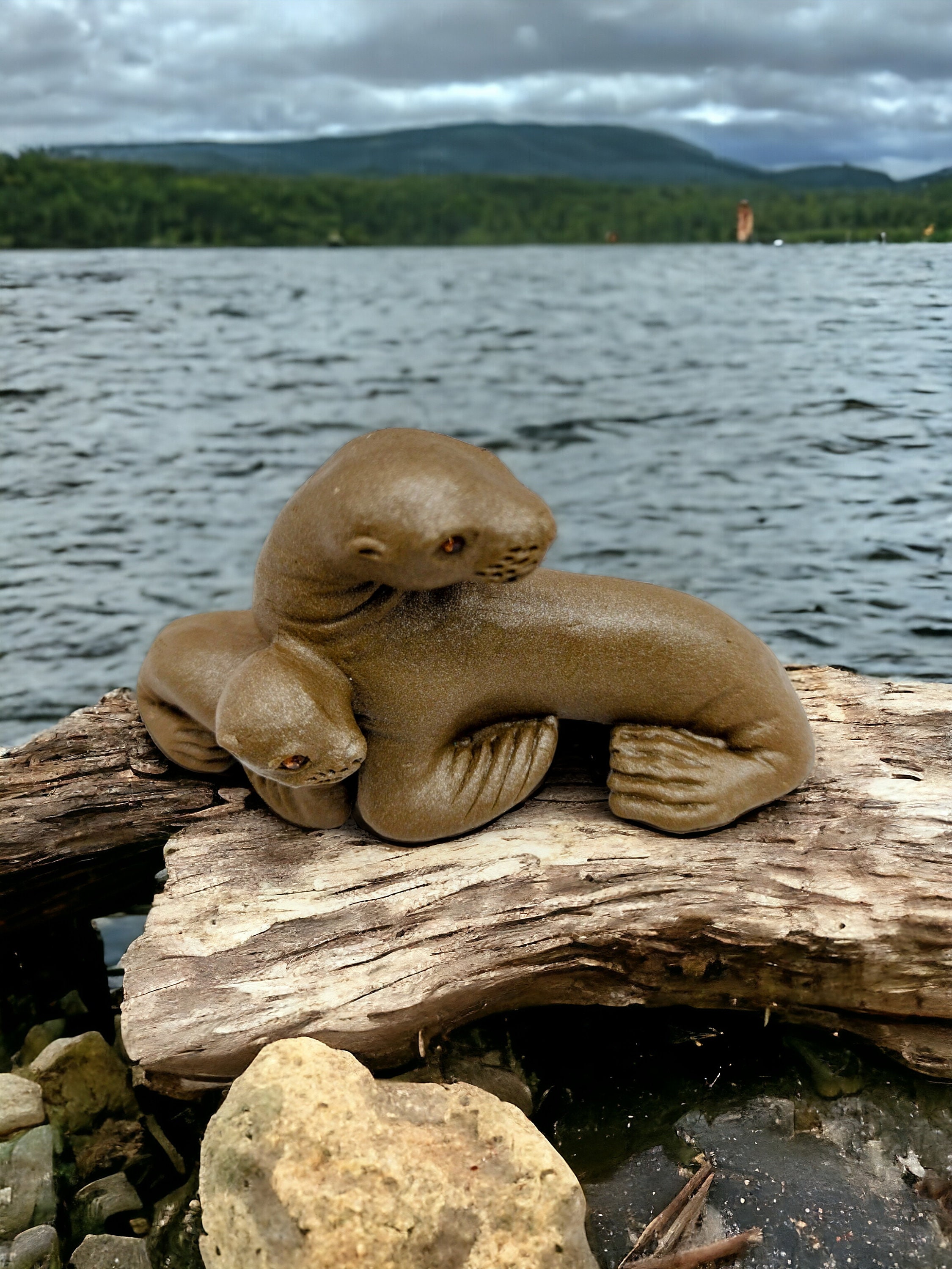 Clay Critters Sea Lion Seal Fridge Magnet. Seal Lover Gift. Swarovski ...