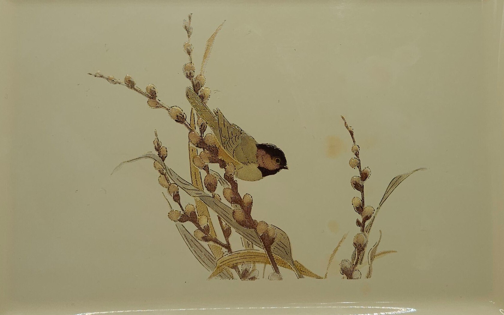 Otagiri Japan Tray and Coaster Set With Chickadee Birds. Snack Tray ...
