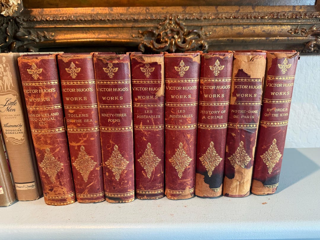 Antique 1880s Set of Victor Hugo's Works Hardcover Leather Books ...