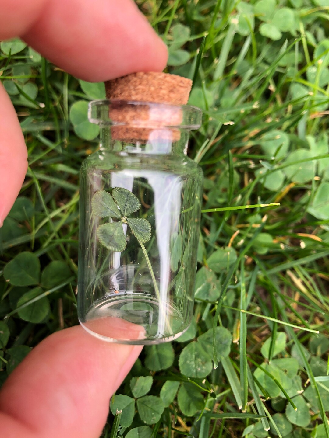 Real Four Leaf Clover in a Glass Jar - Etsy