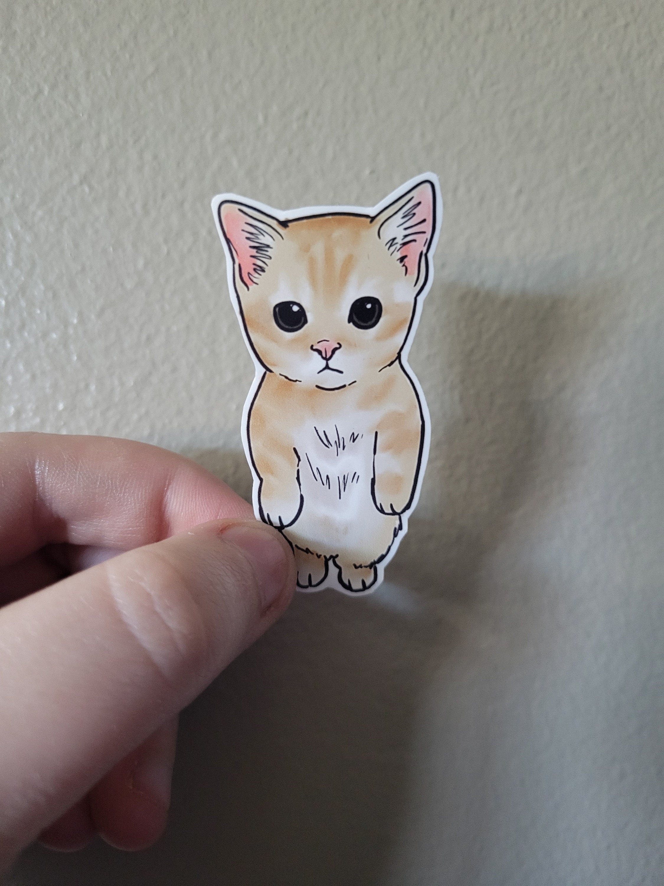 Meme Cats Sticker Pack - Etsy