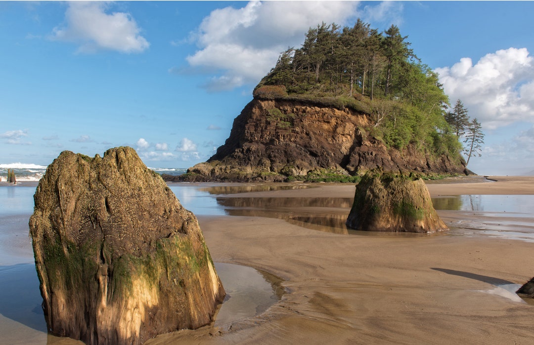 Proposal Rock at Neskowin Beach - Etsy
