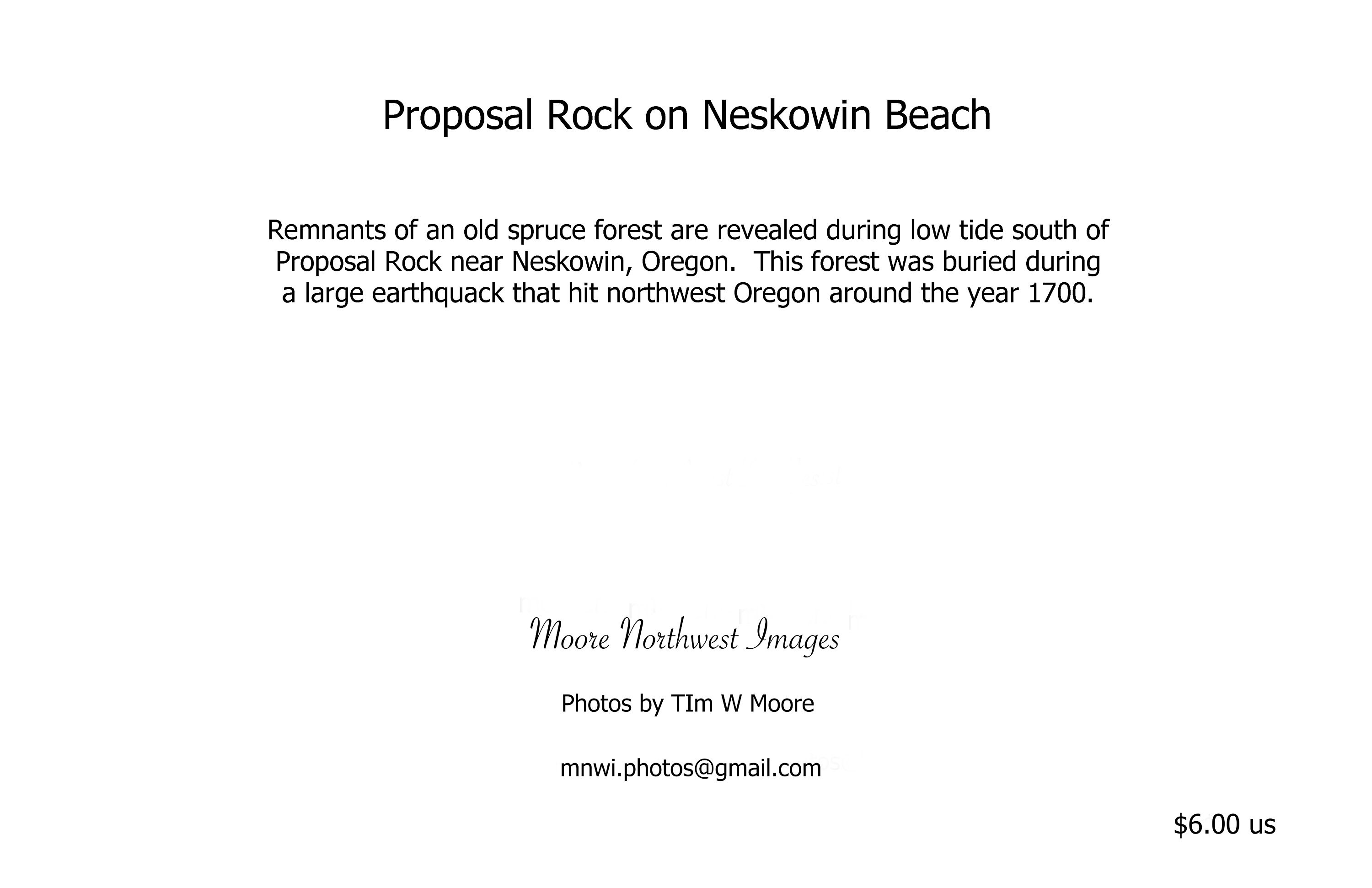 Proposal Rock at Neskowin Beach - Etsy