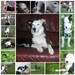 Layered Box Templates - Etsy