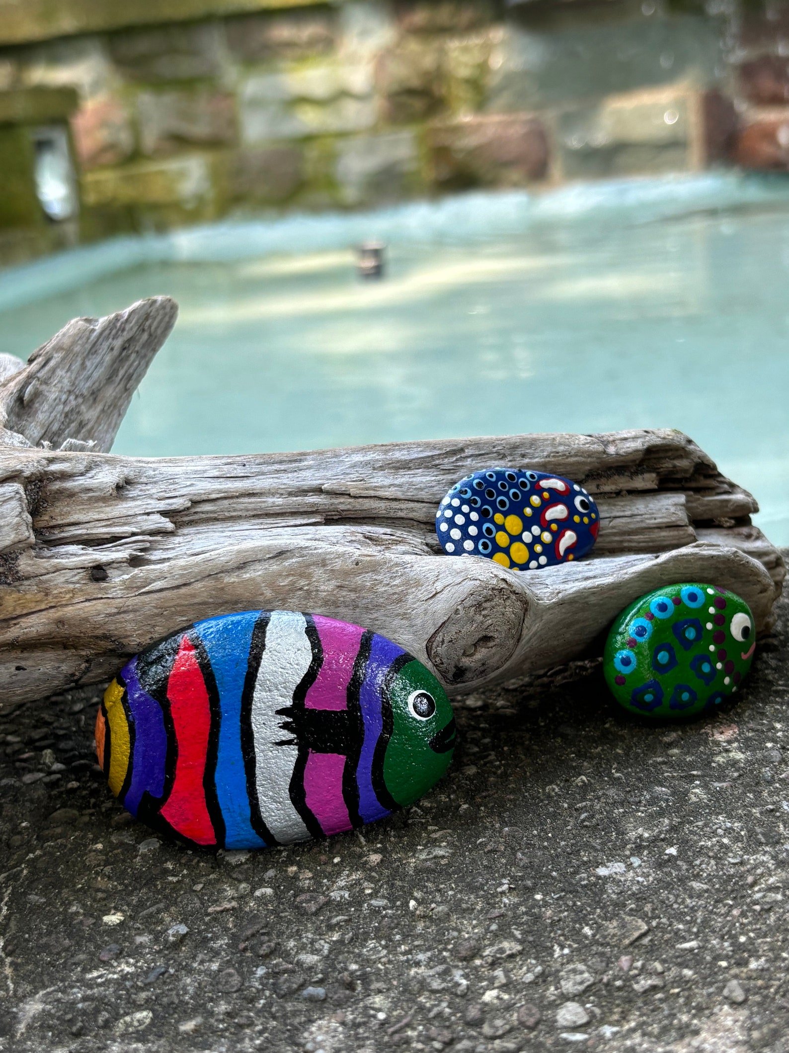 Cute Hand Painted Fish Rocks Set of 3 - Etsy