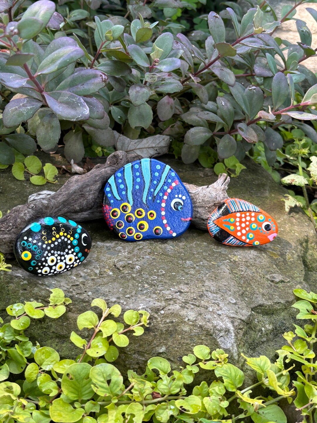 Cute Hand Painted Fish Rocks Set of 3 - Etsy