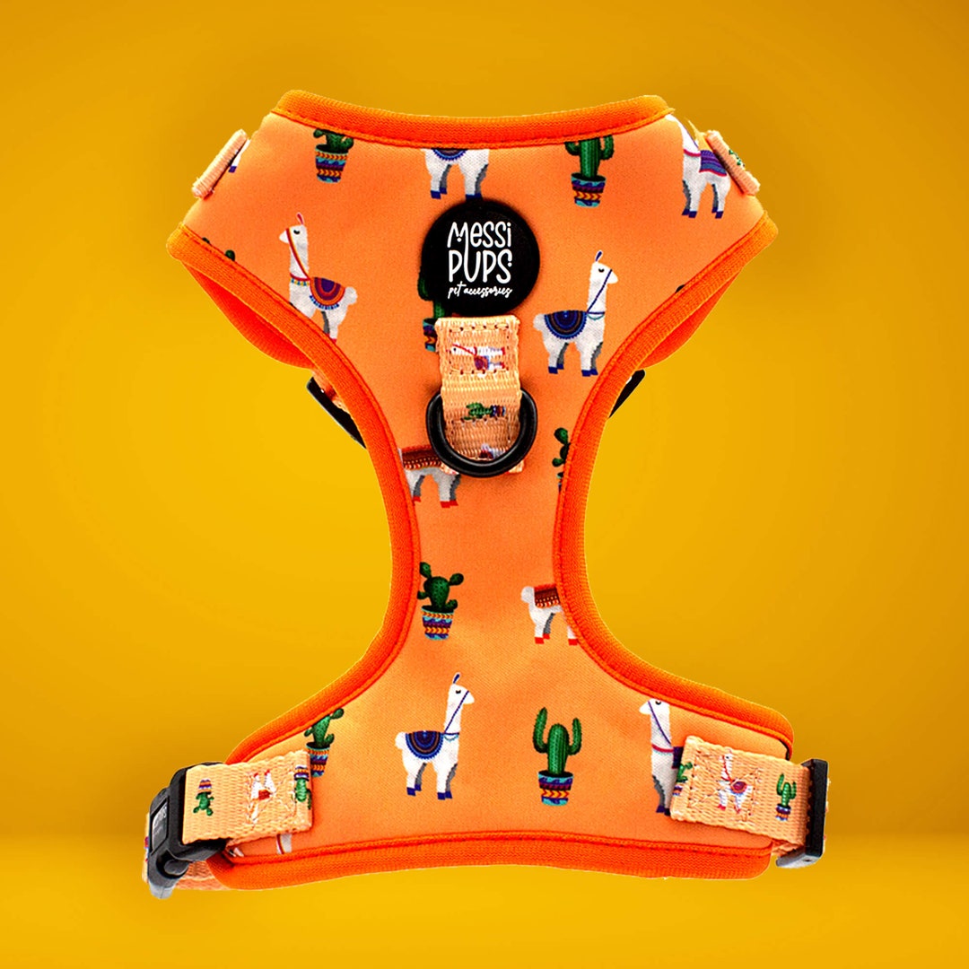 No Prob-llama Harness Llama & Cactus Pet Accessories - Etsy
