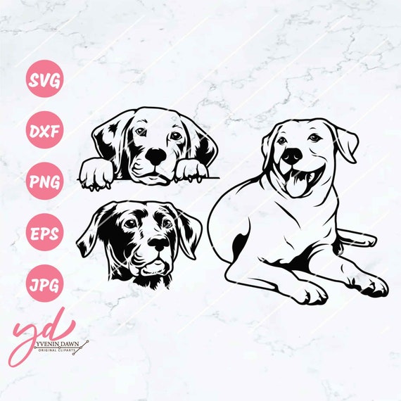 Labrador Svg Peeking Labrador Svg Black Labrador Svg - Etsy