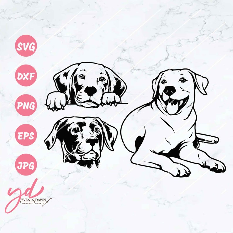 Labrador Svg Peeking Labrador Svg Black Labrador Svg - Etsy