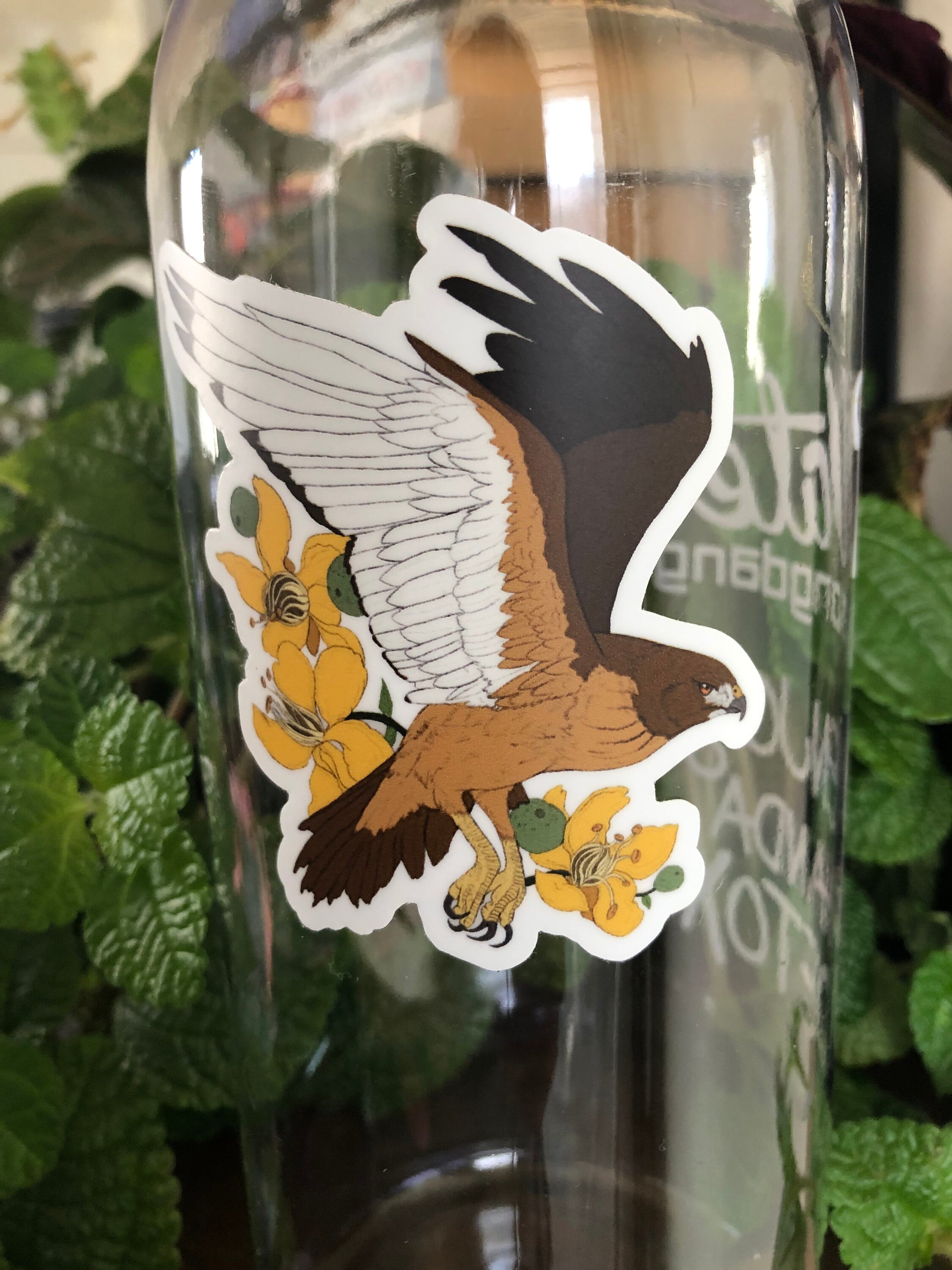 Red Tailed Hawk and Creosote Flower Sticker - Etsy