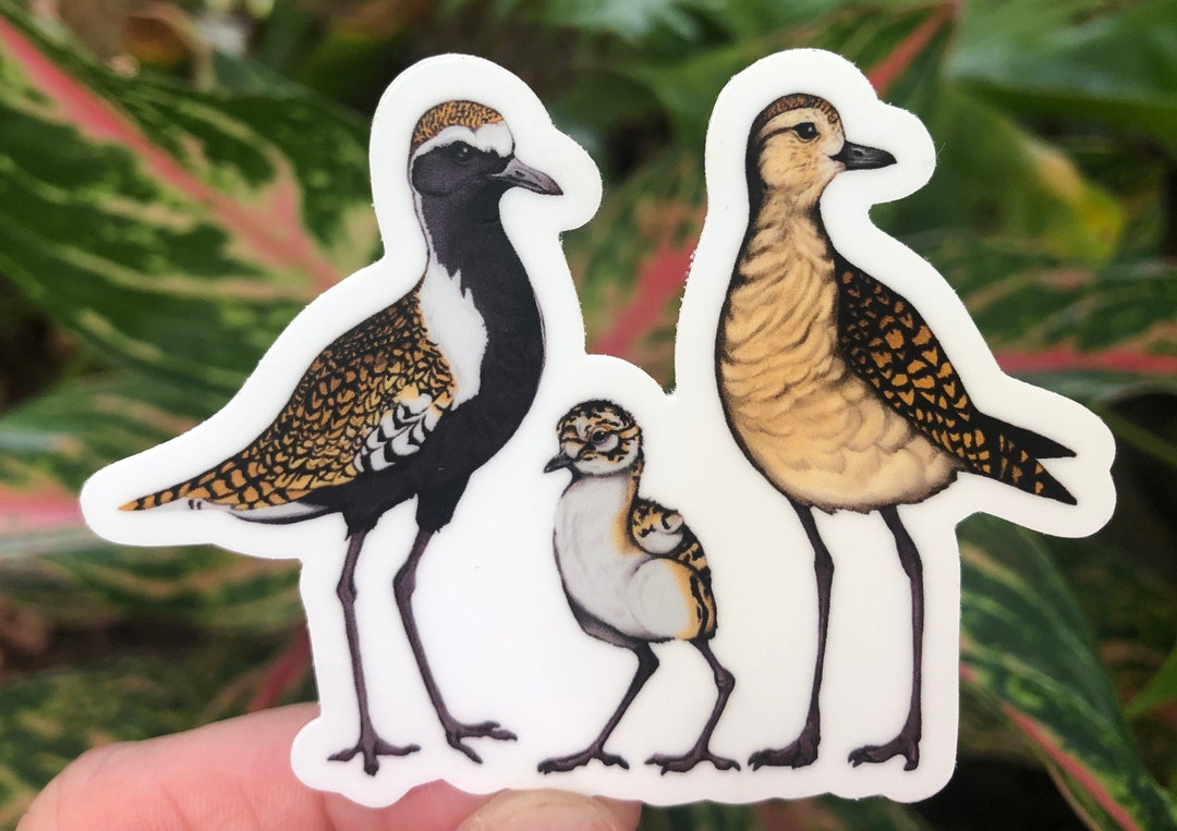 Kolea Family Sticker - Etsy