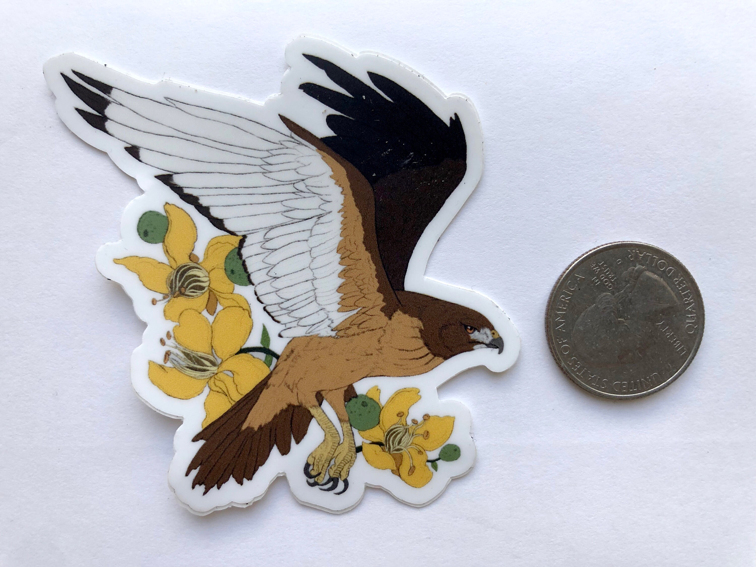 Red Tailed Hawk and Creosote Flower Sticker - Etsy