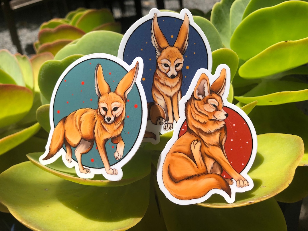 Fennec Fox Sticker Pack (3 Count) - Etsy