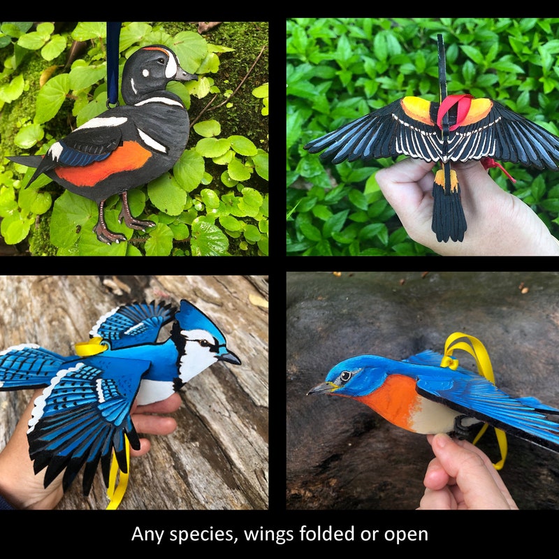 Hand Painted Bird - Etsy