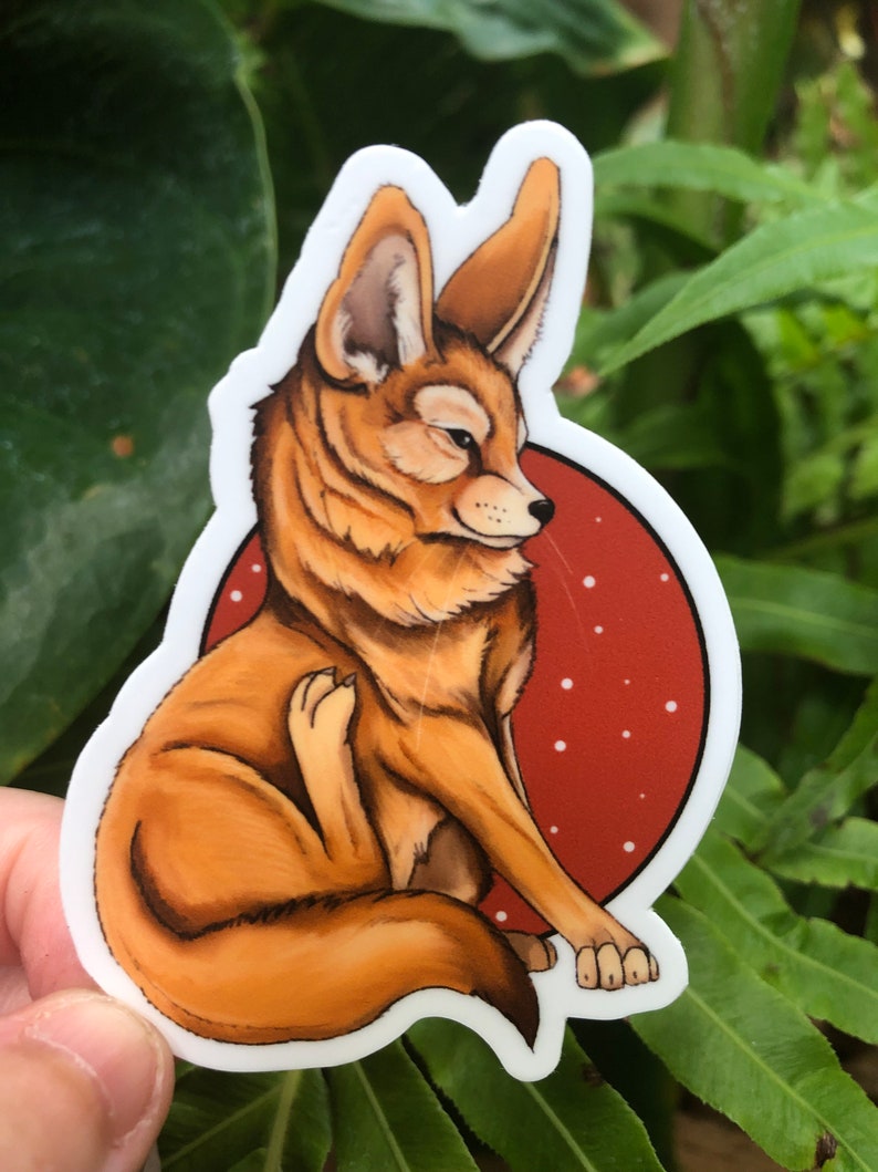 Fennec Fox Sticker Pack 3 Count - Etsy