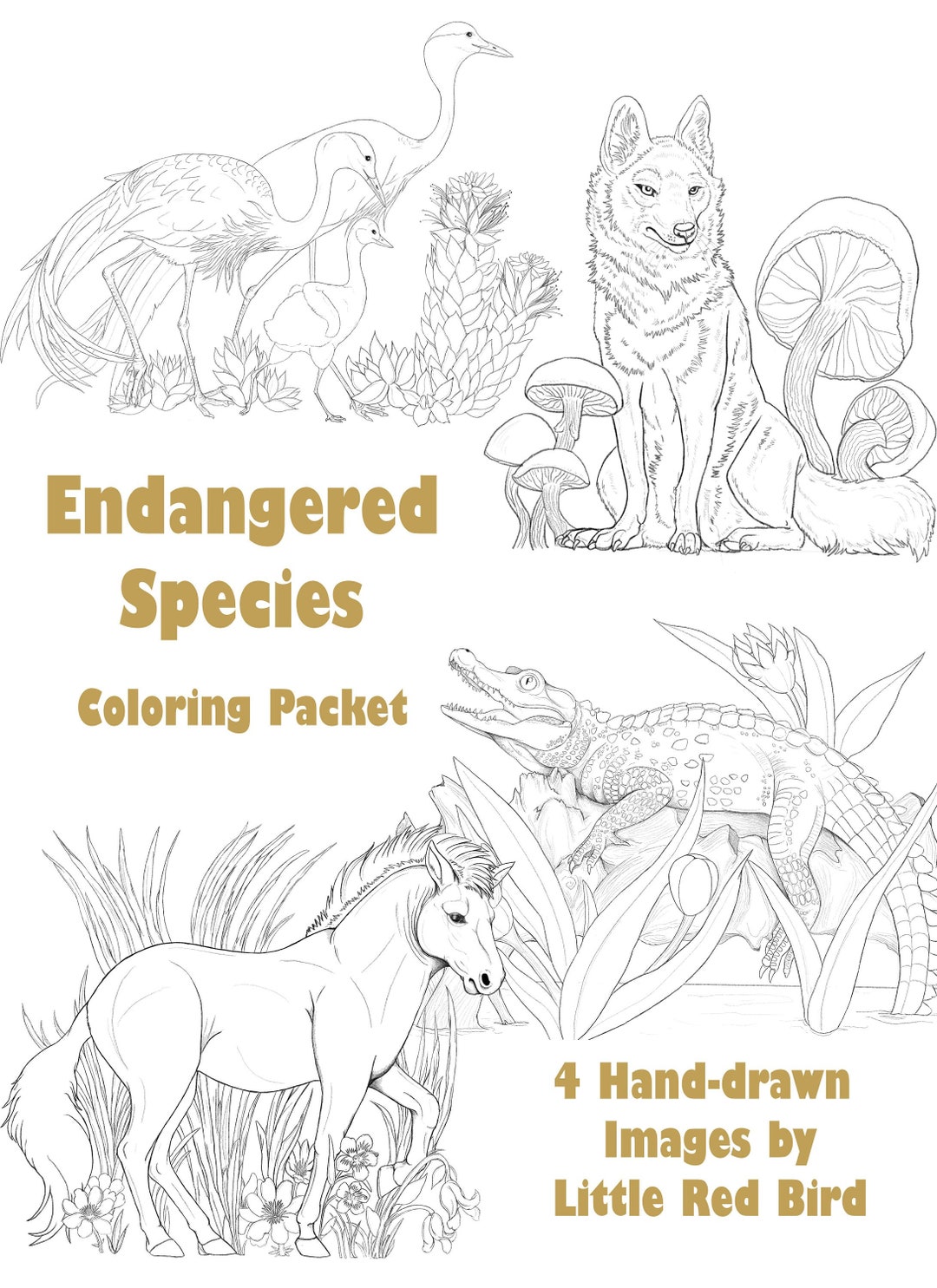 Endangered Species Coloring Packet #1 - Etsy