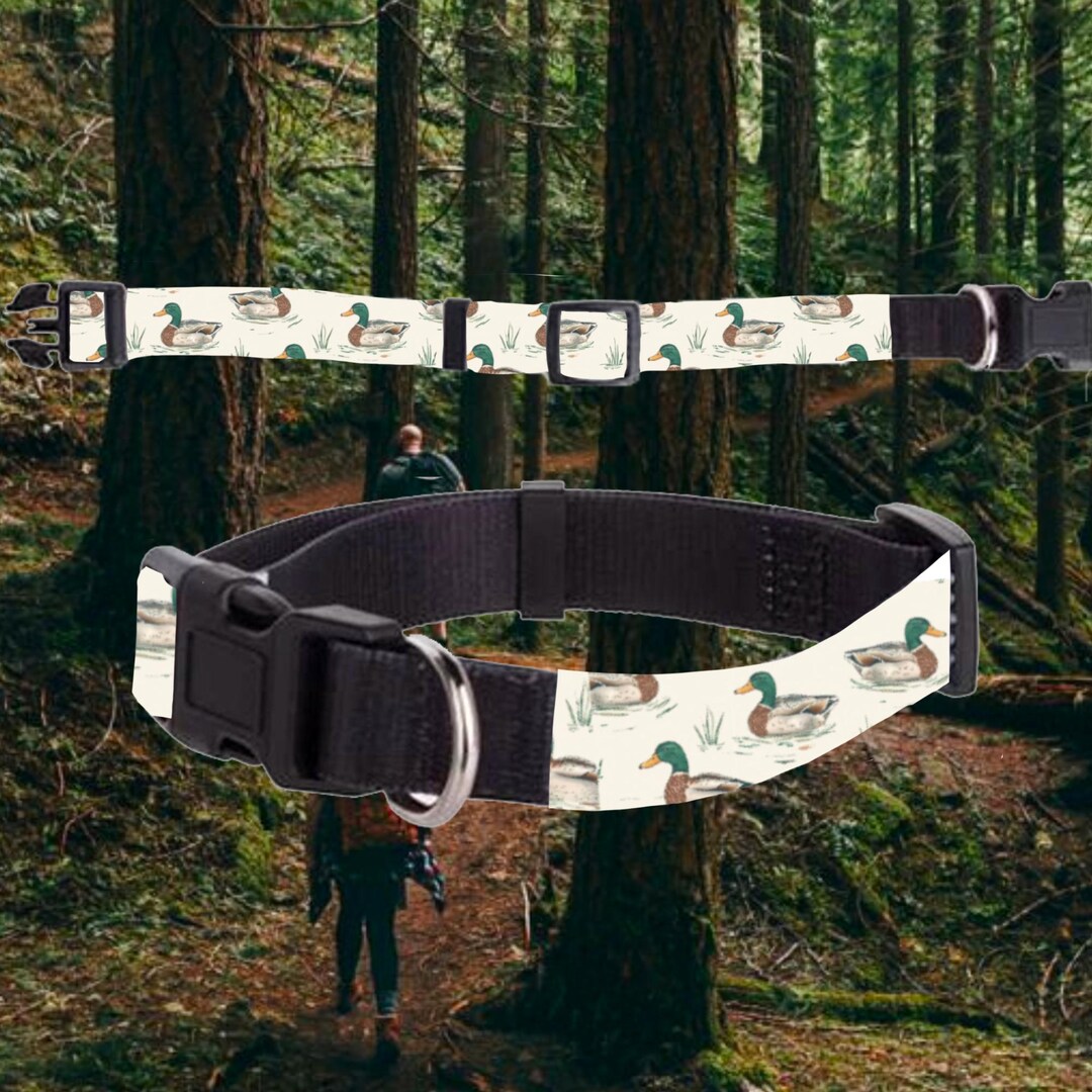 Mallard Duck Dog Collar, Hunting Pet Collar, Cream Fabric - Etsy