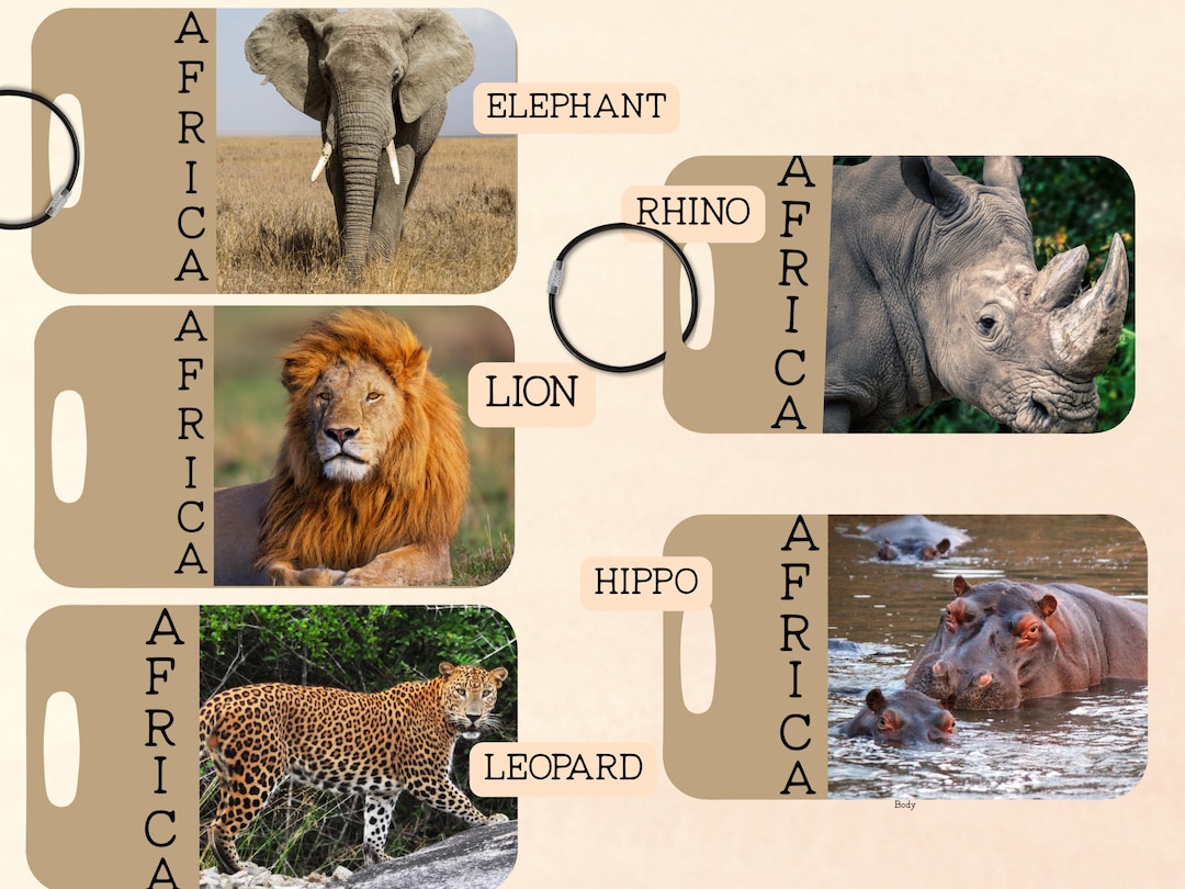 Personalized Luggage Tag African Animal: African Safari Accessories ...