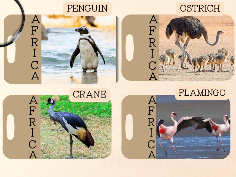 Personalized Luggage Tag African Animal: African Safari Accessories ...