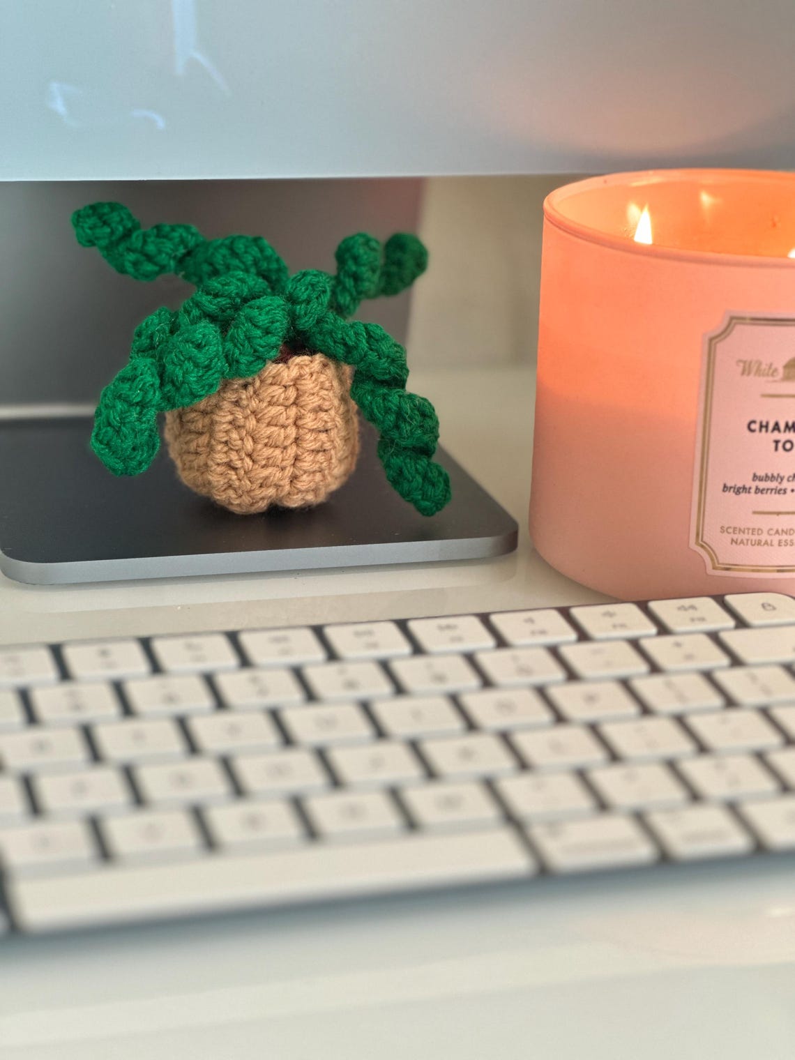 Crocheted Desk Plant - Etsy