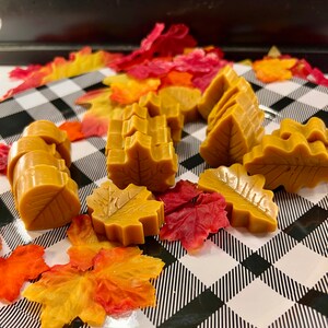 Fall Scented Autumn Leaf Shaped Wax Melts | for Gifting or Home Décor ...