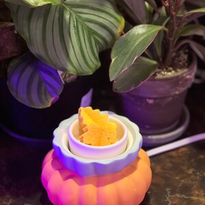 Fall Scented Autumn Leaf Shaped Wax Melts | for Gifting or Home Décor ...