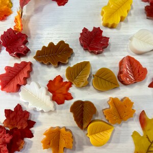 Fall Scented Autumn Leaf Shaped Wax Melts | for Gifting or Home Décor ...