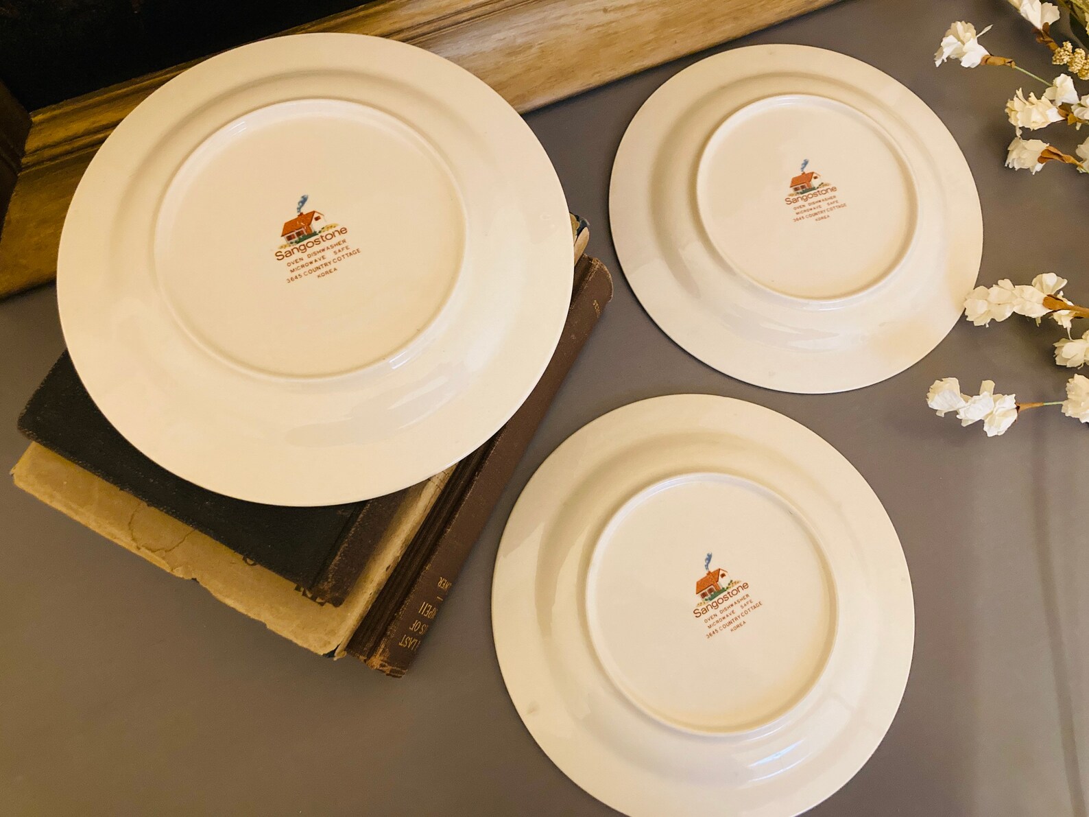 VINTAGE Set of 3 Country Cottage Ceramic Salad Plates/ Decorative ...