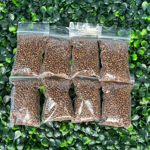 Nuts & Seeds | Ataare| Guinea Pepper | Alligator Pepper | Grains of ...