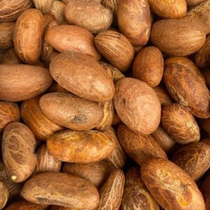 Nuts & Seeds Bitter Kola Orogbo Gooro Garcinia Kola FREE SHIPPING USA ...