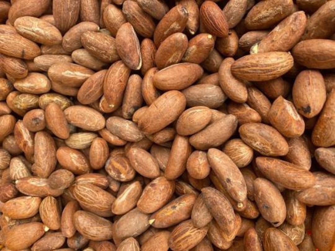Nuts & Seeds Bitter Kola Orogbo Gooro Garcinia Kola FREE SHIPPING USA ...