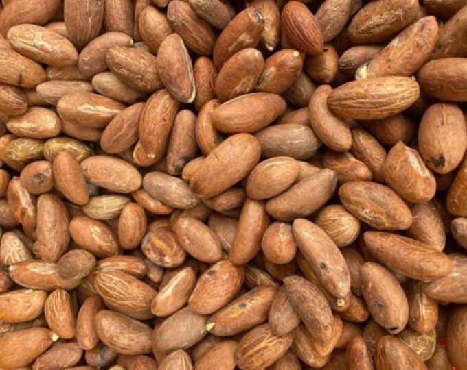 Bitter Kola, Orogbo, Akilu, Mijigworo 50 Seeds - Etsy