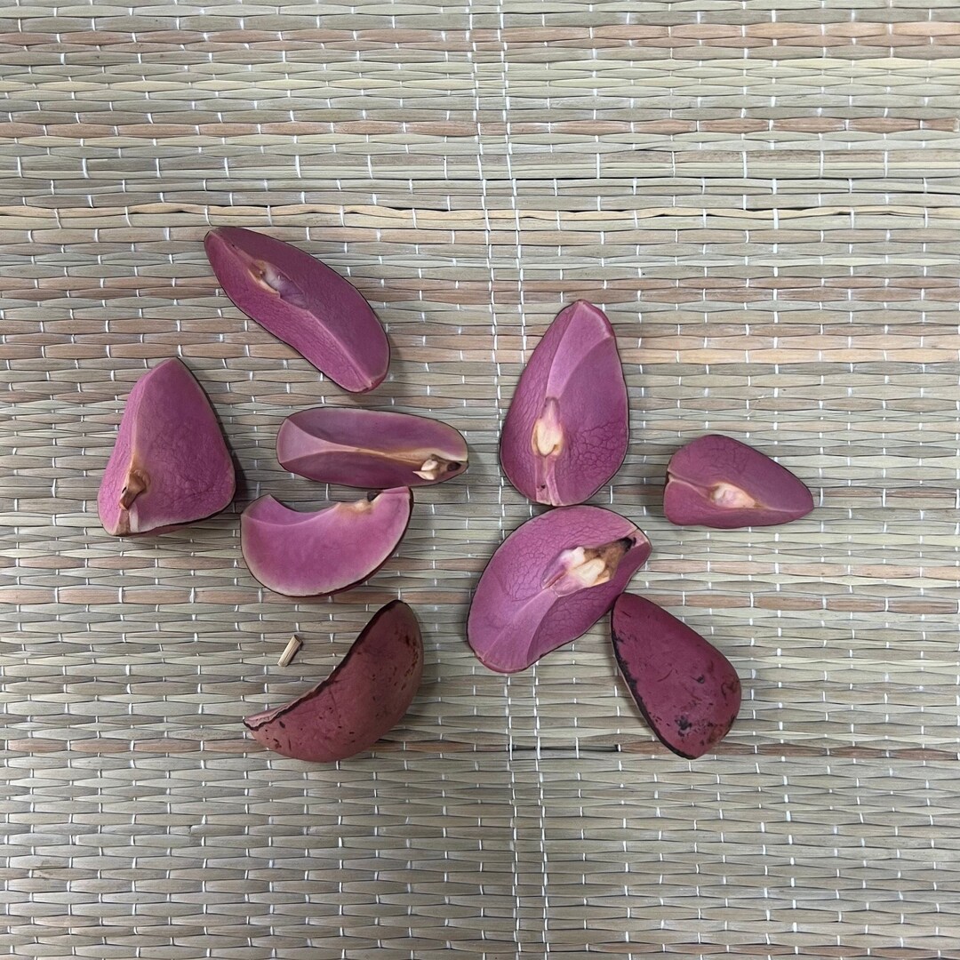 Nuts & Seeds Obi Obi Kola Pink Kola Nut Cola Nitida - Etsy