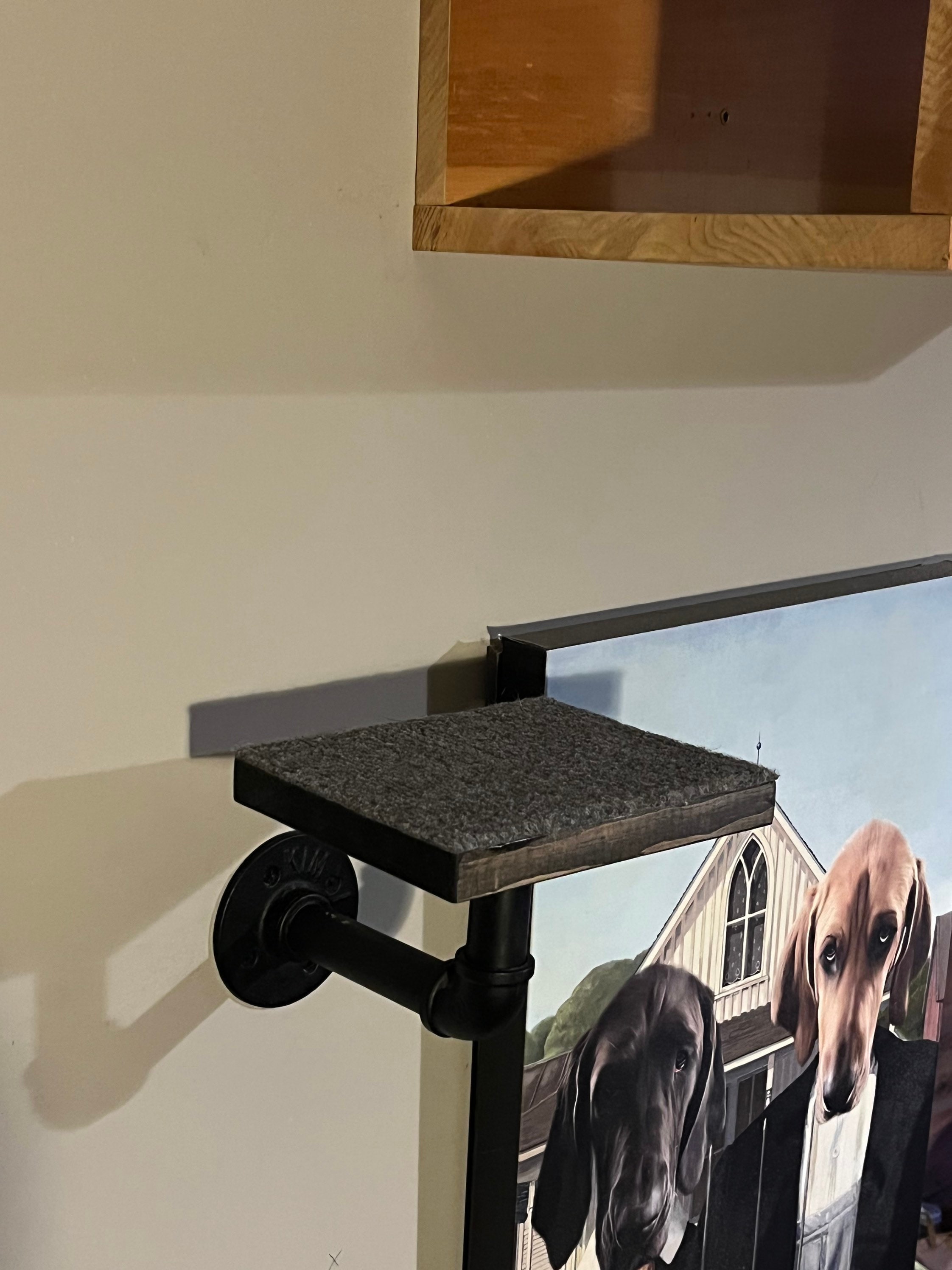 4 PACK Industrial Cat Walk Wall Shelves/steps With Carpet, Cat ...