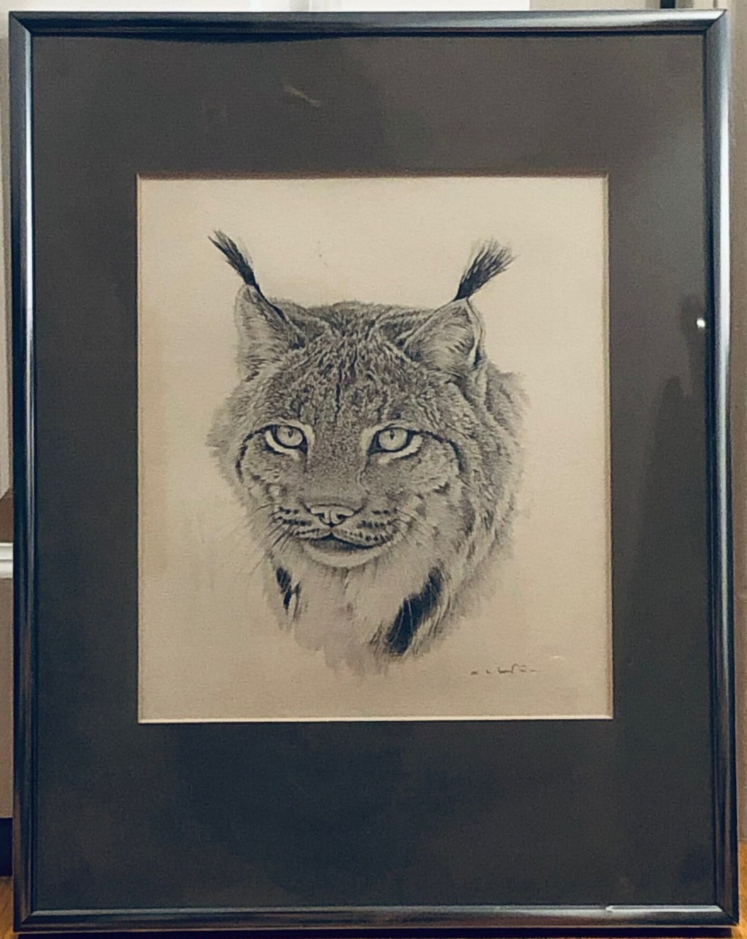 Canadian Lynx Portrait - Signed-in-plate Lithograph (martin Glen Loates ...