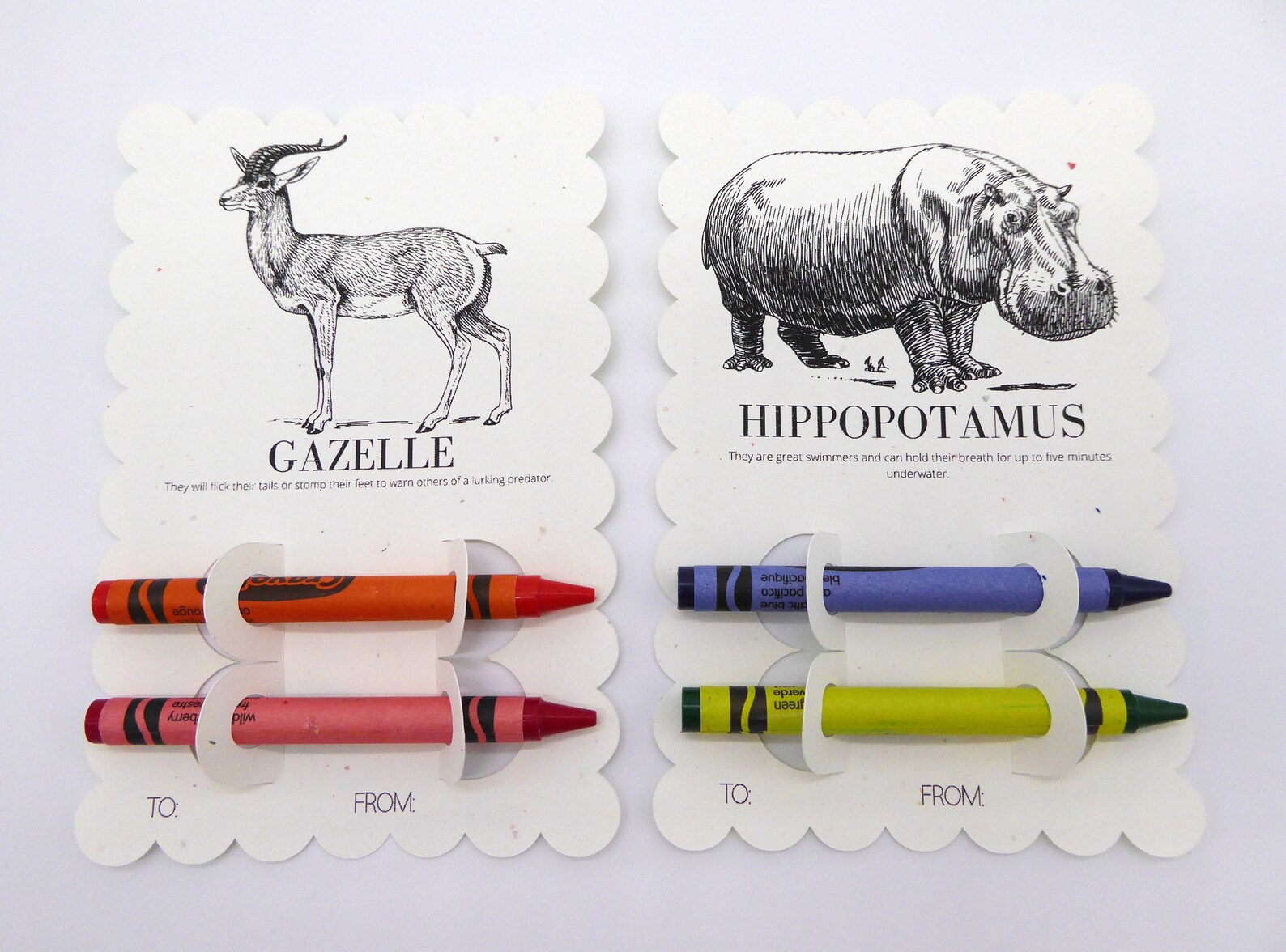 Safari Party Coloring Party Favors 6 Different Animals With - Etsy