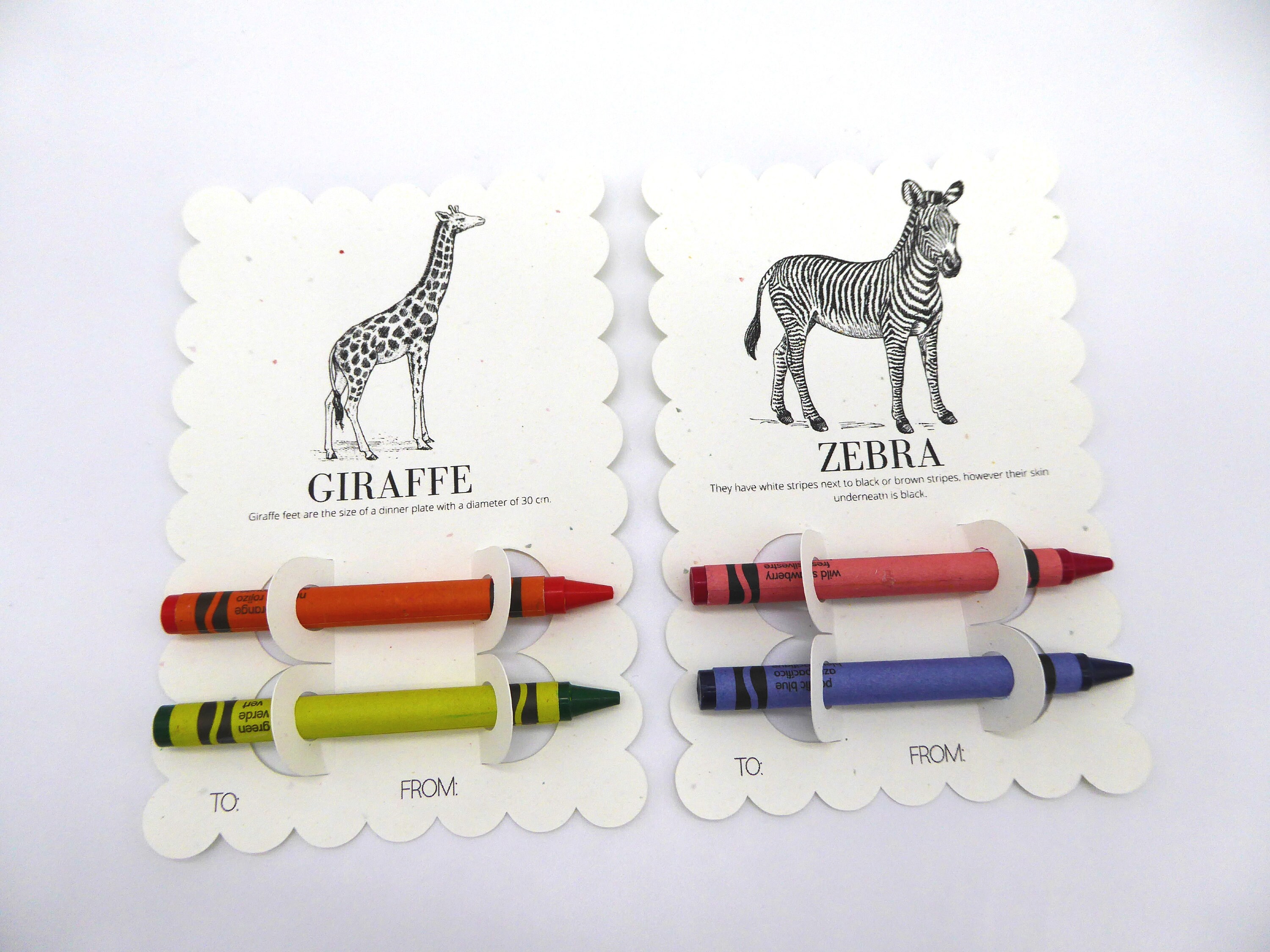 Safari Party Coloring Party Favors 6 Different Animals With - Etsy