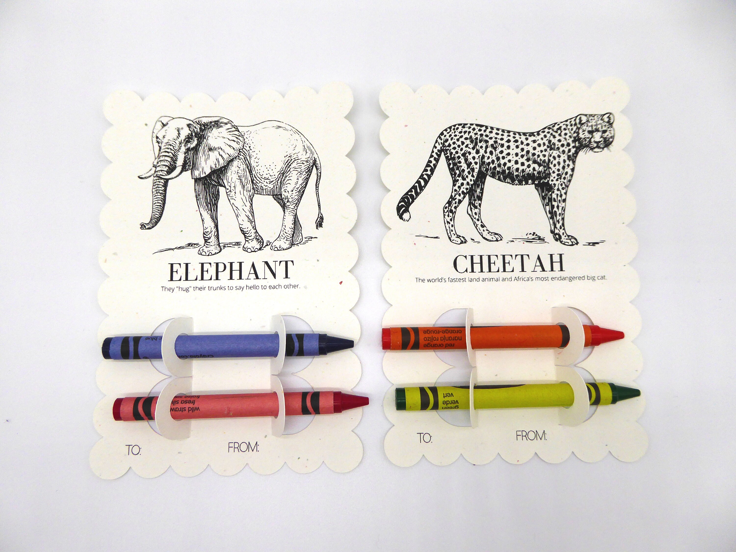 Safari Party Coloring Party Favors 6 Different Animals With - Etsy