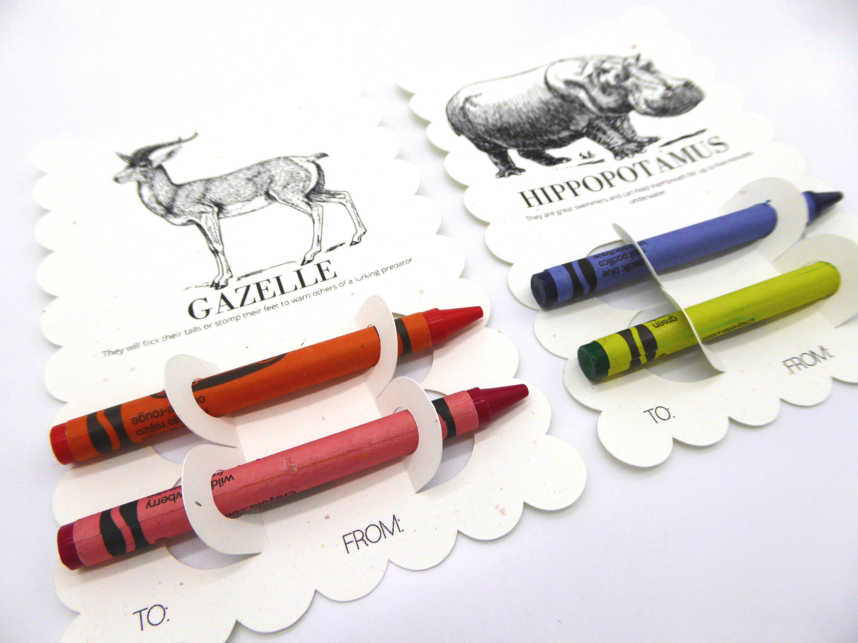 Safari Party Coloring Party Favors 6 Different Animals With - Etsy