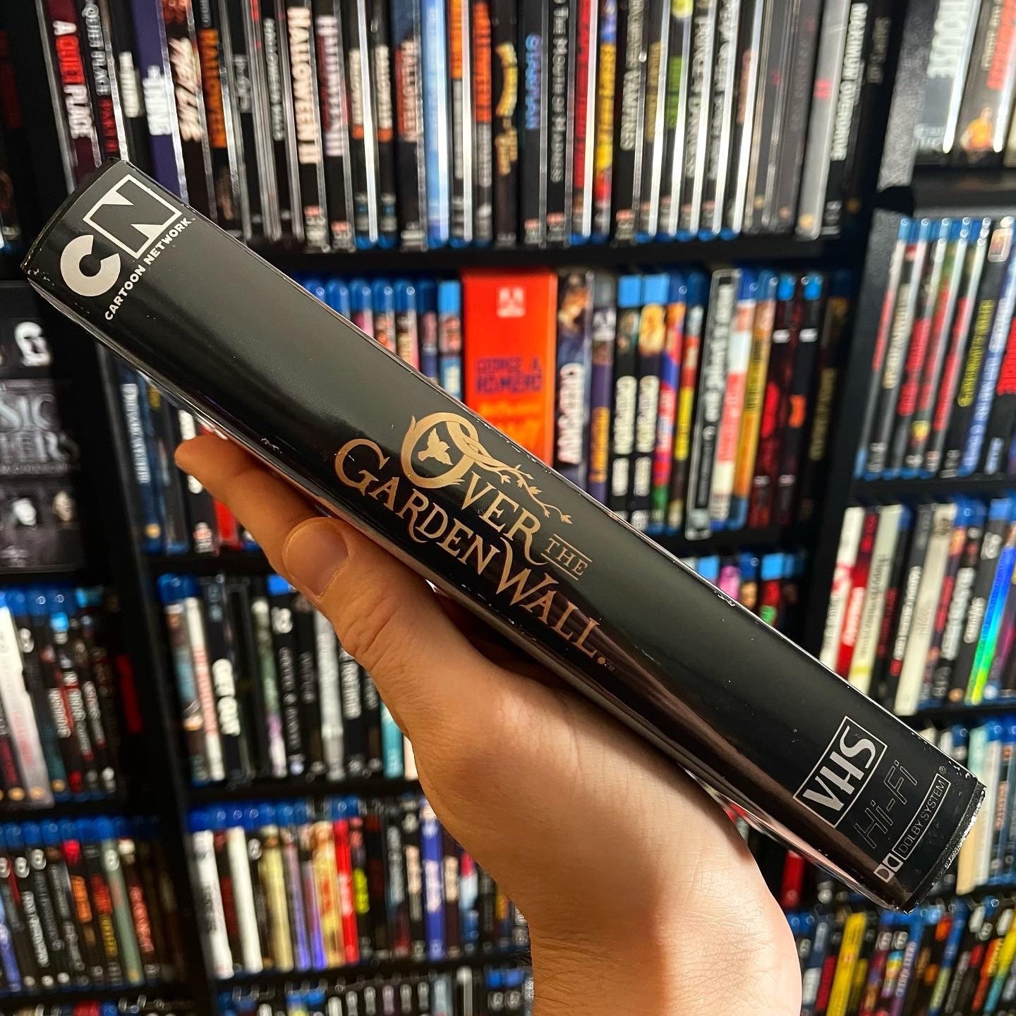 Over the Garden Wall Custom VHS Display Case NO TAPE - Etsy