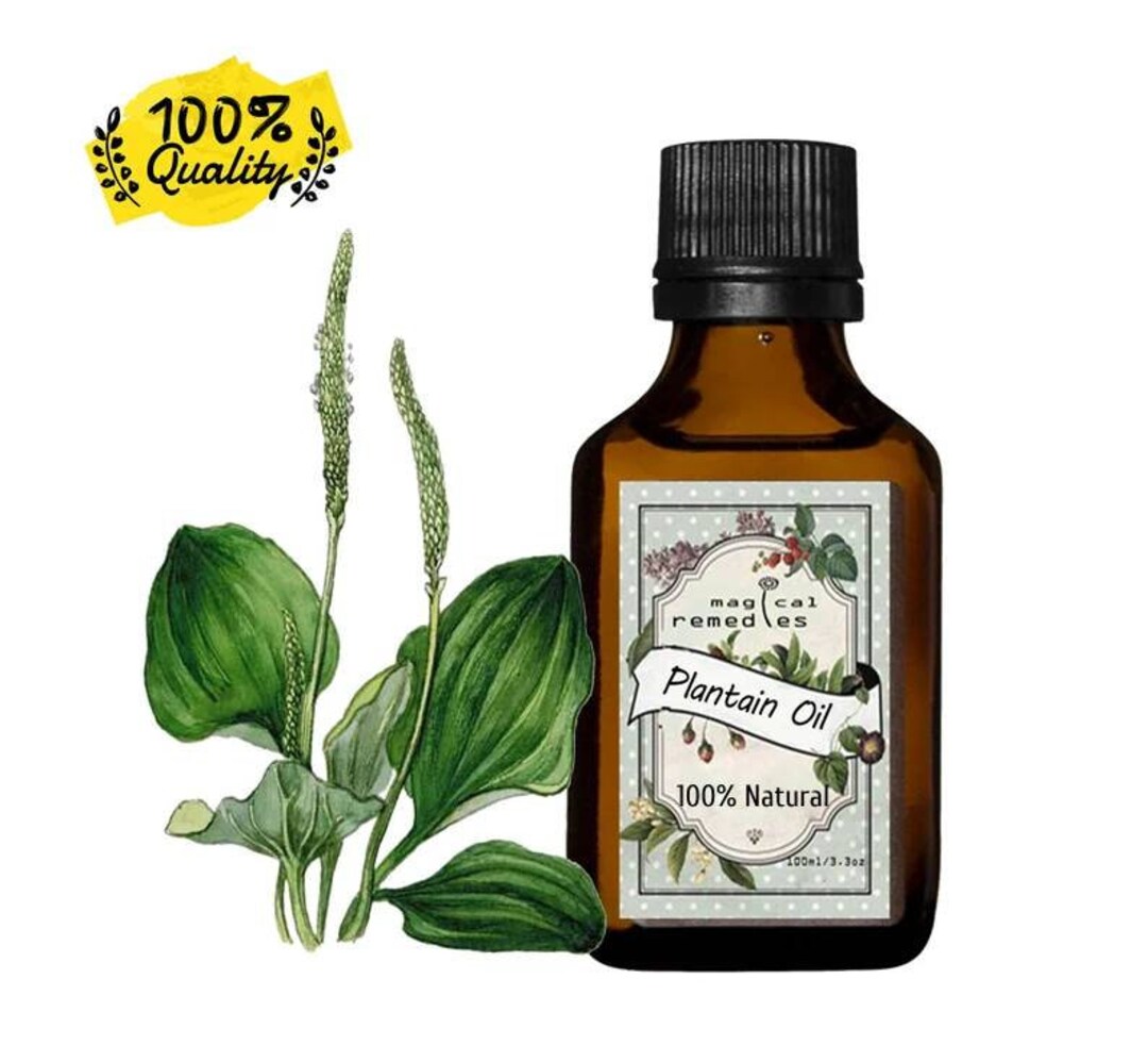 Plantain Oil. - Etsy