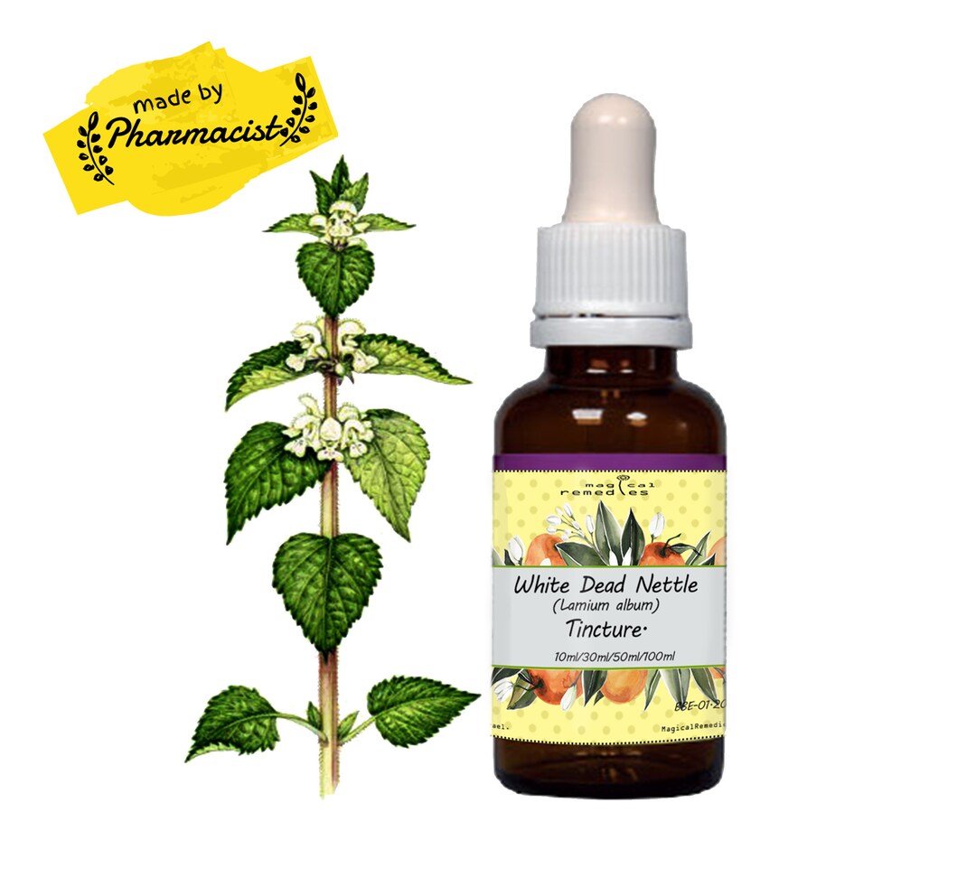Tincture of White Dead Nettle - (lamium Album) - Herbal Extract ...