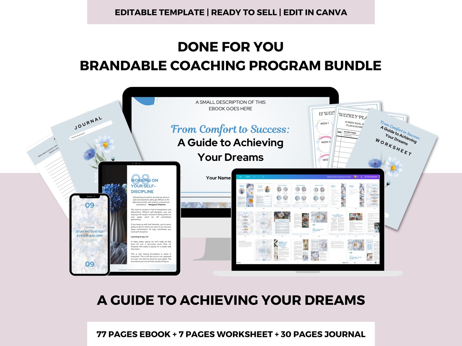 Dream Coaching Program, PLR Guide, Canva Templates (digital Download ...