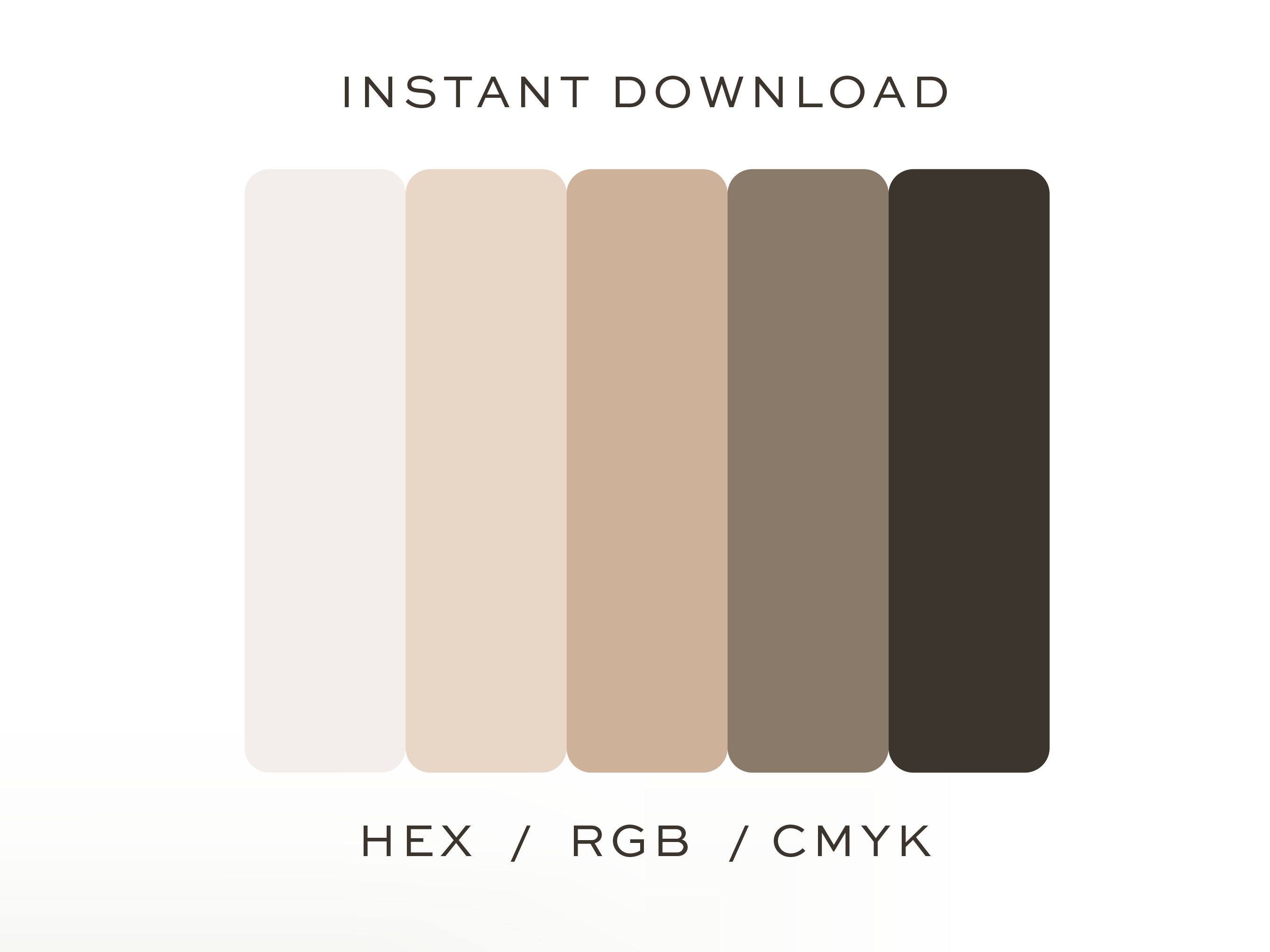 Neutral Color Palette, Beige Brand Palette for Website, Hex Codes, Warm ...