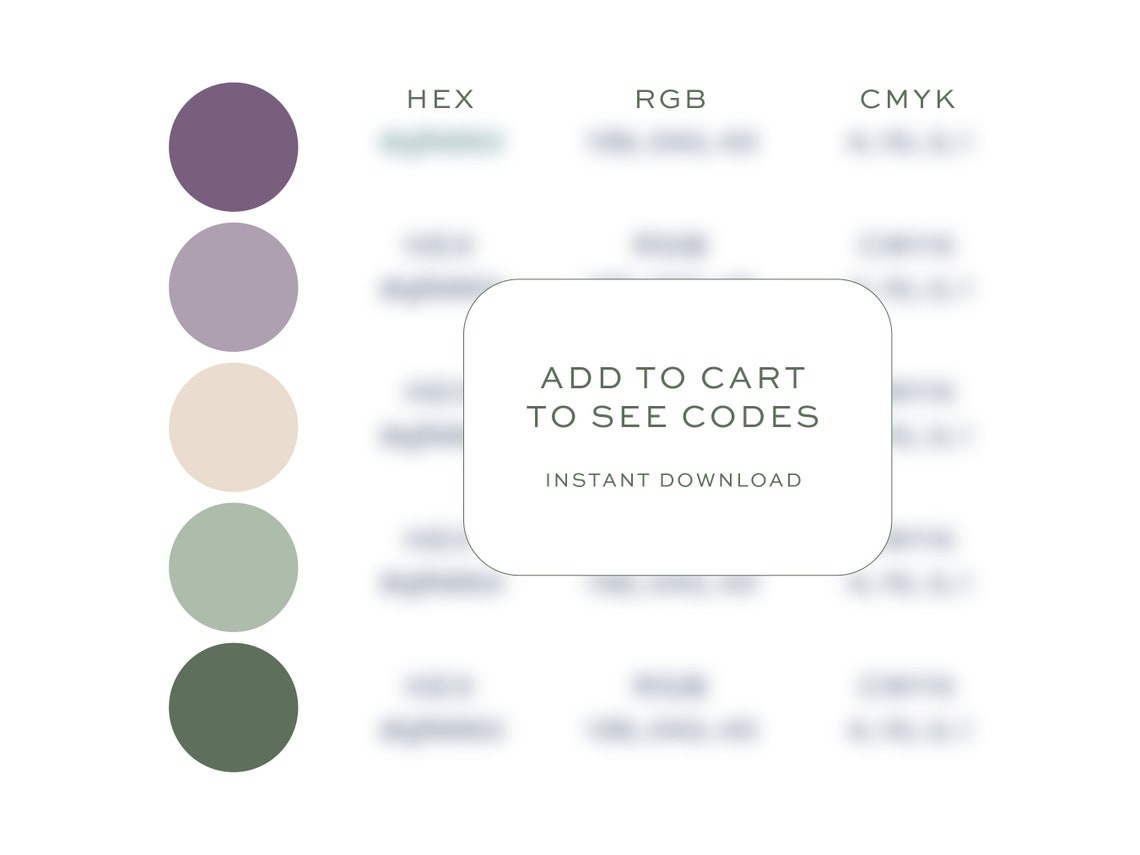 Color Palette for Website, Brand Palette, Color Palette Hex Codes ...