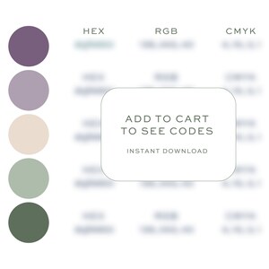 Color Palette for Website, Brand Palette, Color Palette Hex Codes ...