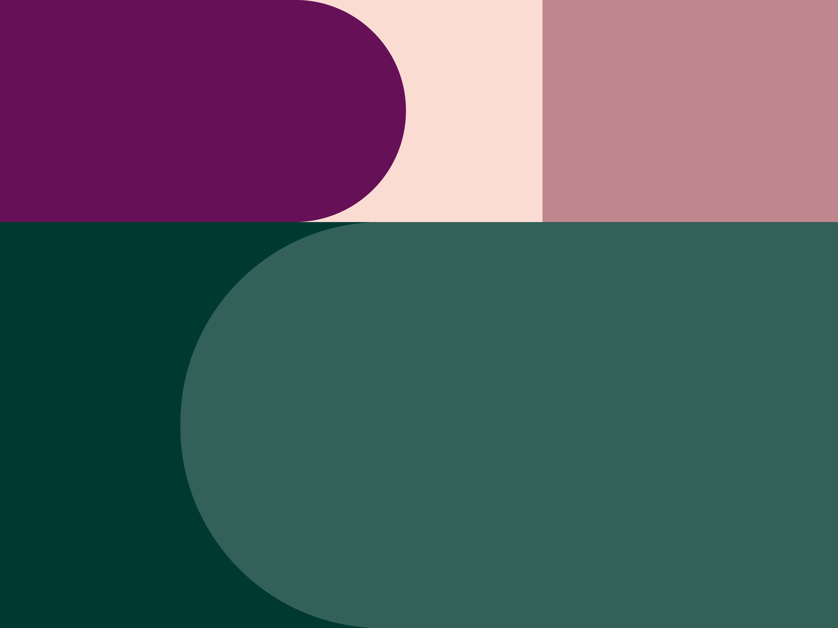 Whimsical Color Palette for Website, Earthy Brand Palette, Color ...