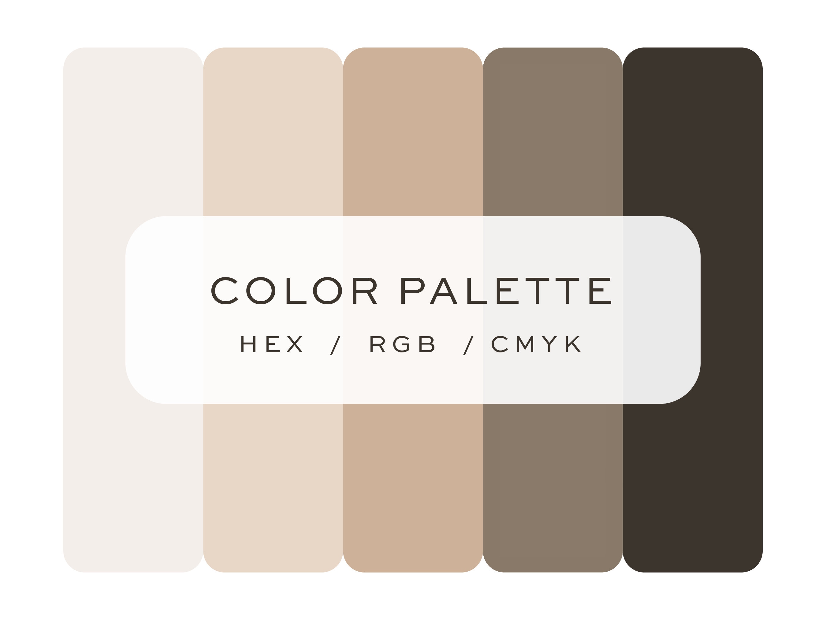 Neutral Color Palette, Beige Brand Palette for Website, Hex Codes, Warm ...