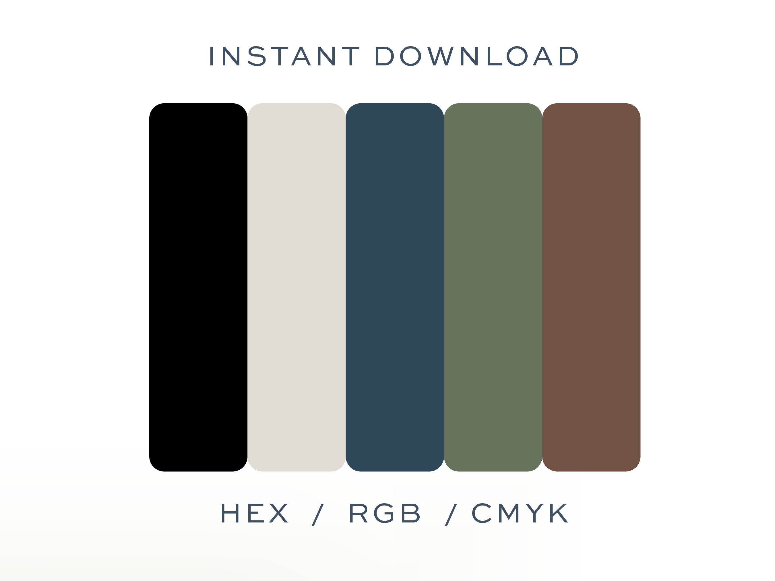 Color Palette for Website, Brand Palette, Color Palette Hex Codes ...